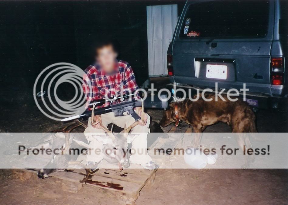 Chessie vs Lab? > General Discussion > AR15.COM